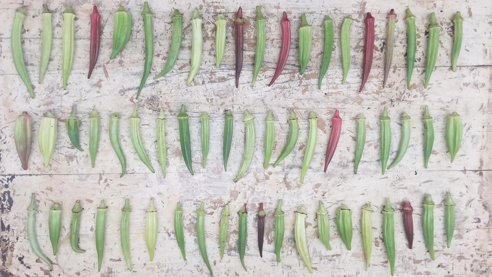 Cookbook review: The Whole Okra by Chris Smith – Unpretentious Palate