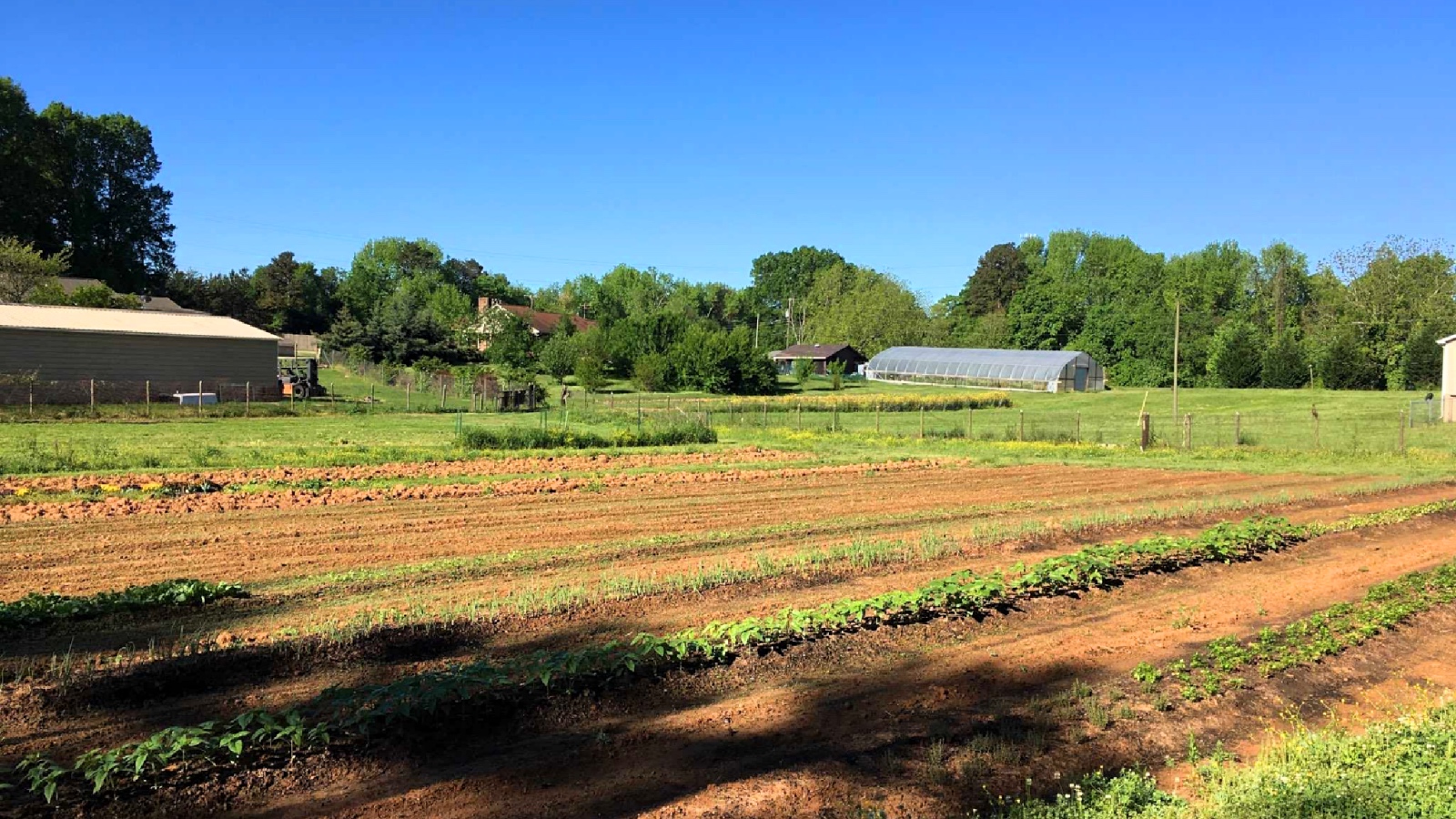 Local farm to host al fresco dinner fundraiser – Unpretentious Palate