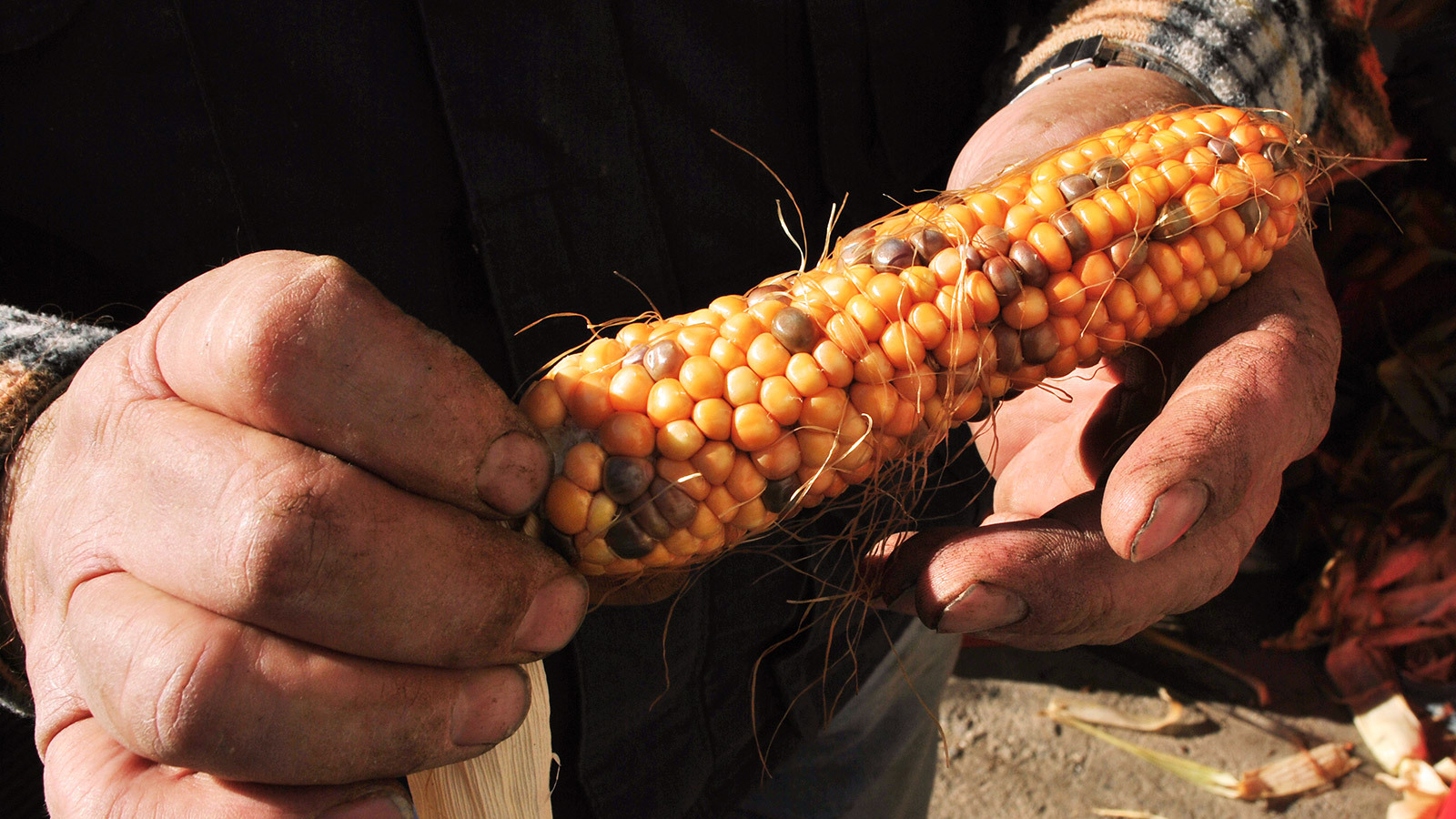 North Carolina’s Indigenous foodways are alive and well – Unpretentious ...
