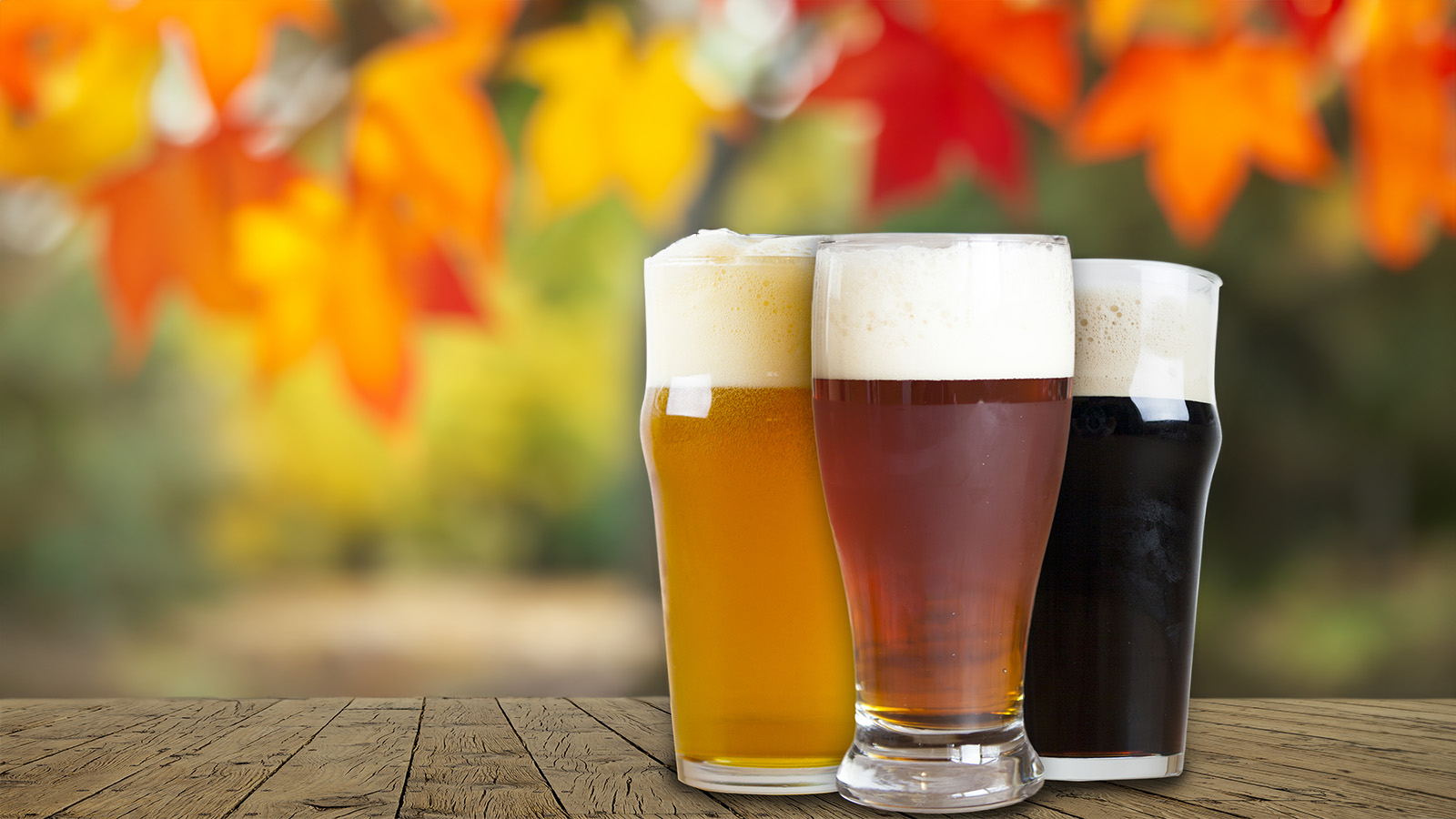 October craft beer releases – Unpretentious Palate