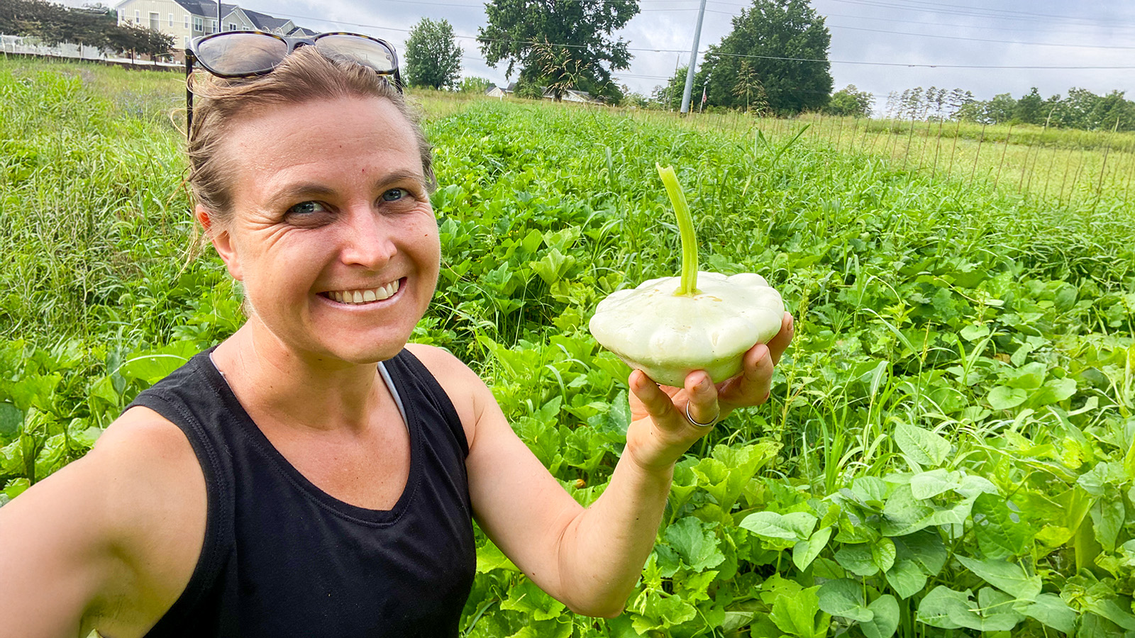 Bringing fresh food to Charlotte one neighborhood at a time ...